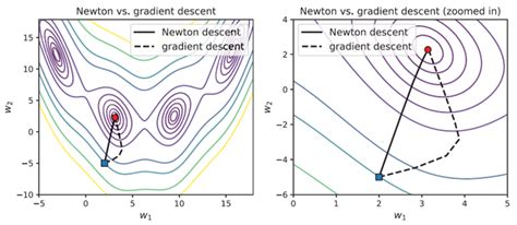 Finding The Treasure With Gradient And Newton Function Optimization