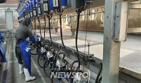 고창군 친환경 우유 생산 메카로 입지 굳히기 뉴스로