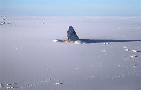 تصاویر بررسی دلایل آب شدن یخ های قطبی توسط ناسا‎ تسنیم