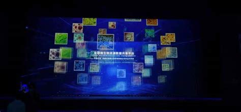 “全球微生物资源数据共享平台”已汇聚52万株实物资源数据中科院