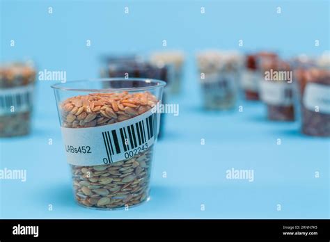 Genomic Selection Predicting The Performance Of Crops Based On Their