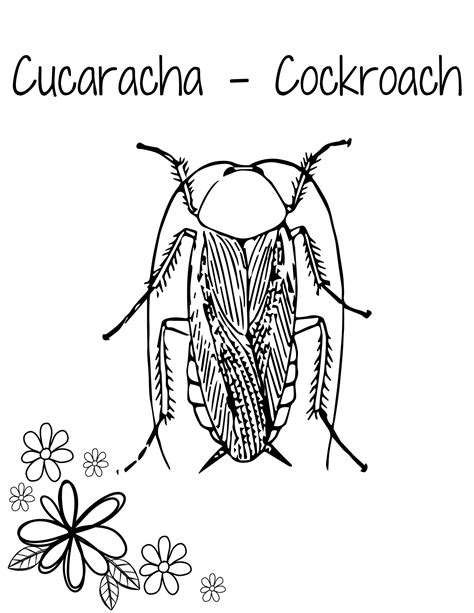 Cucaracha Cockroach Coloring Worksheet In Spanish Prechool Bugs