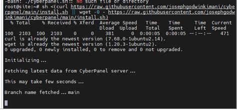 Error When Updating Cyberpanel Support And Discussion Cyberpanel Community