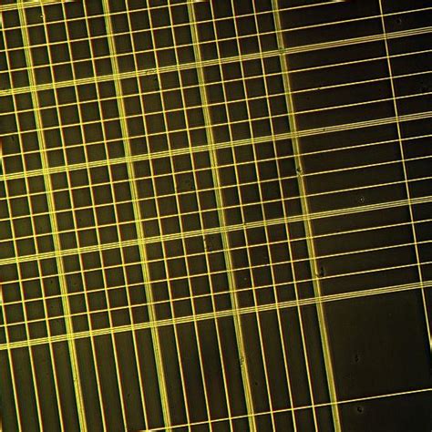 Hemocytometer Side View 3 Download Scientific Diagram