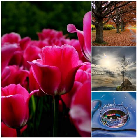 Npm React Photo Grid Skypack