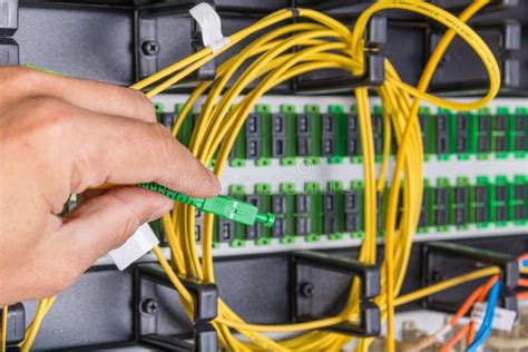Hand Of Engineer Plugging In Ethernet Cable Into Server Switch P Stock Image Image Of Cable
