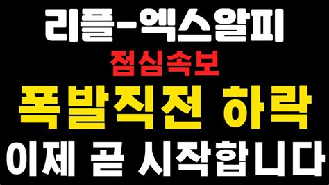 엑스알피 리플코인 점심속보 폭발직전 하락 이제 곧 시작합니다 엑스알피 리플 코인왕국tv불독코인급등코인 Youtube
