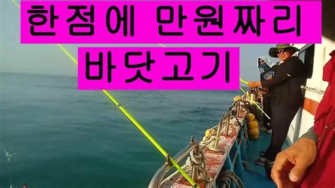 내인생에 첫 바닷고기는 한점에 만원짜리 고기를 잡았답니다 Youtube