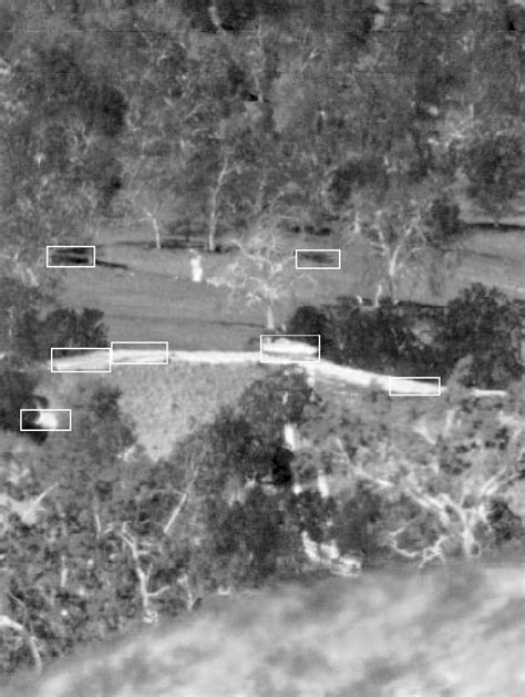 figure 1 from automatic target recognition using wavelet based vector quantization semantic