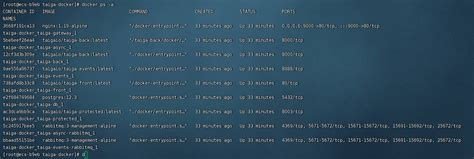 i want to know what caused this error the docker image runs normally