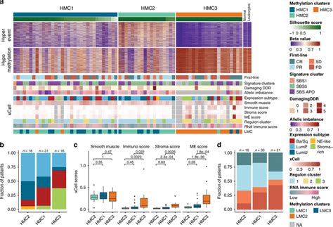 Dna Methylation Subtypes Based On Hypermethylated Cancer Specific Cpg