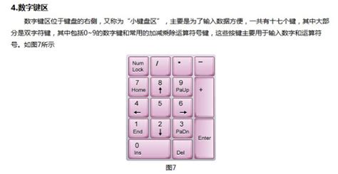 新手篇 认识键盘 打字课程 在线打字练习 91小键人打字dazi 91xjr
