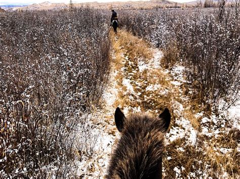 Zuunmod Images Vacation Pictures Of Zuunmod Mongolia Tripadvisor