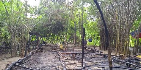 Dvb Tyf ဆော၊ကျောက်ထု စခန်းနှင့် တောင်ယာတဲ ၃ လုံးကို စစ်ကောင်စီတပ် မီးရှို့