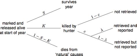 Drawing A Horizonatl Tree Graph With Variable Break Points TeX LaTeX Stack Exchange