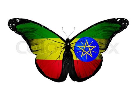 Heraldry Of Life E World Butterfly ART With Flag Of States