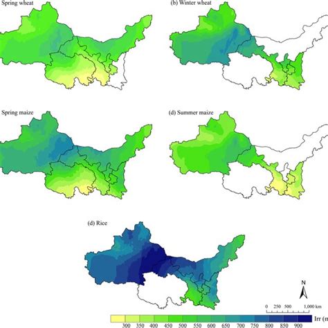 Spatial Variation Of The Average Iwr Of Spring Wheat Winter Wheat