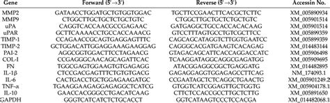 The Gene Sequence Information Download Scientific Diagram