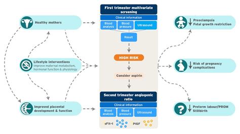 Prevention Of Pregnancy Complications Using A Multimodal Lifestyle