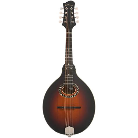 Eastman Md304e Sb Mandolin And Gigbag Sunburst