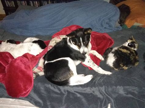 Guess Im Sleeping On The Couch Tonight R Funny