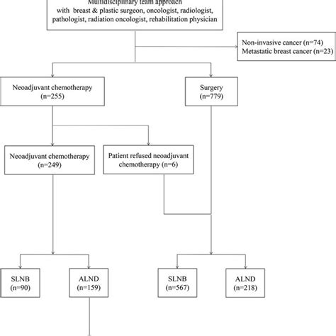 A Flow Chart Showing Management Of Breast Cancer With A Download
