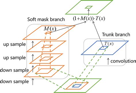 Soft mask branch and trunk branch³³ Download Scientific Diagram
