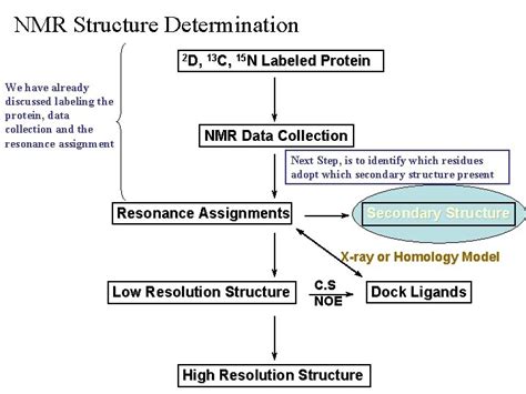 Nmr Structure Determination With The Nmr Assignments And