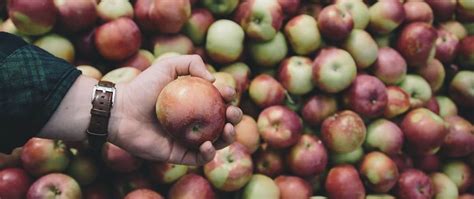 Apples Non Standard Approach To Webapps A Step Back From Pwa Standardization Dev Community