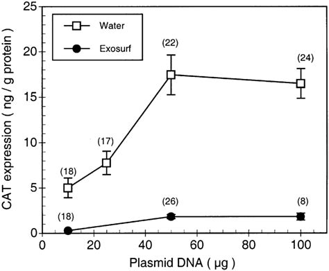Plasmid Dna Concentration Optimization For In Vivo Delivery Expression