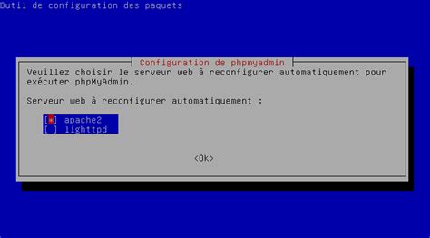 Installer Un Serveur Lamp Linux Apache Mysql Php Apache It Connect