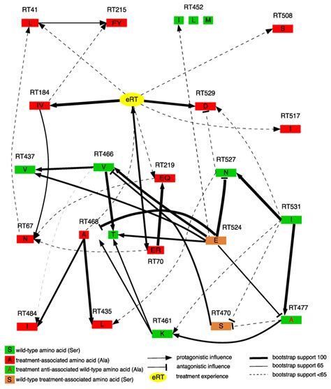 Annotated Bayesian Network Based On 500 Bootstraps Showing