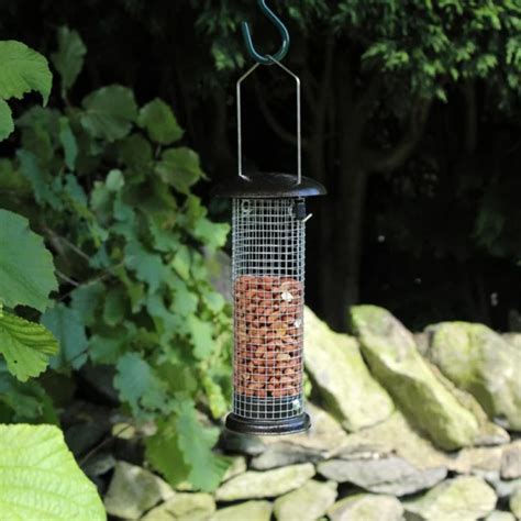 Bird Nut Feeder Premier Offers Direct