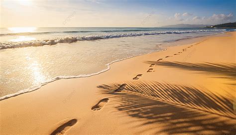 Footprints On A Sandy Beach Background Beach Footprints Sand