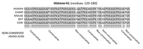 Sex Chromosomes Biology Simple