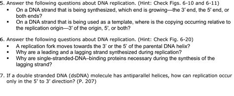 Solved Answer The Following Questions About DNA Chegg