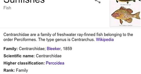 Sunfishes Album On Imgur