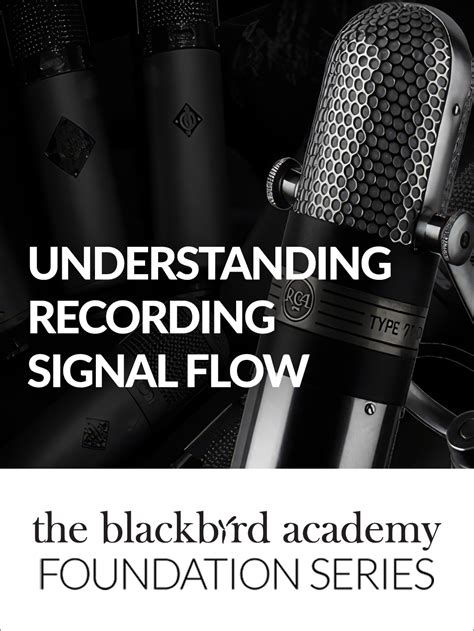 Signal Flow Tutorial Understanding Recording Signal Flow