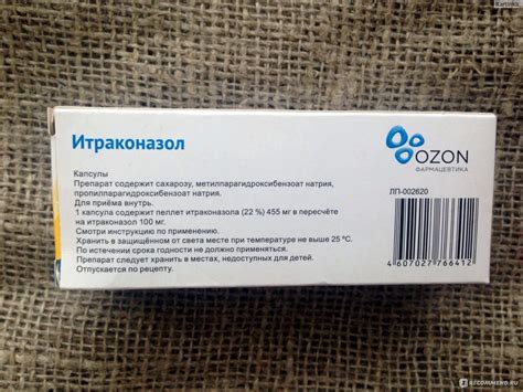 Итраконазол для кошек: инструкция по применению