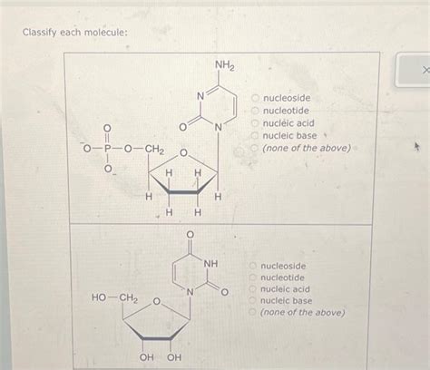 Solved Classify Each Molecule Nucleoside Nucleotide