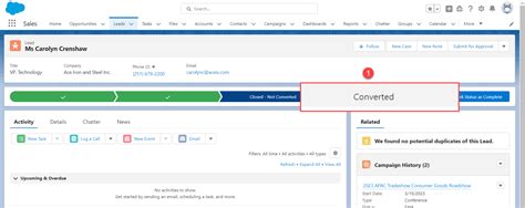Lead Conversion In Salesforce