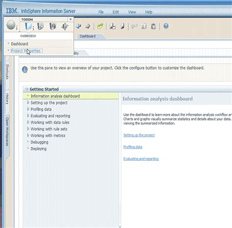 Infosphere Information Analyzer Unable To Run Column Analysis Or Data Rule But Can Validate
