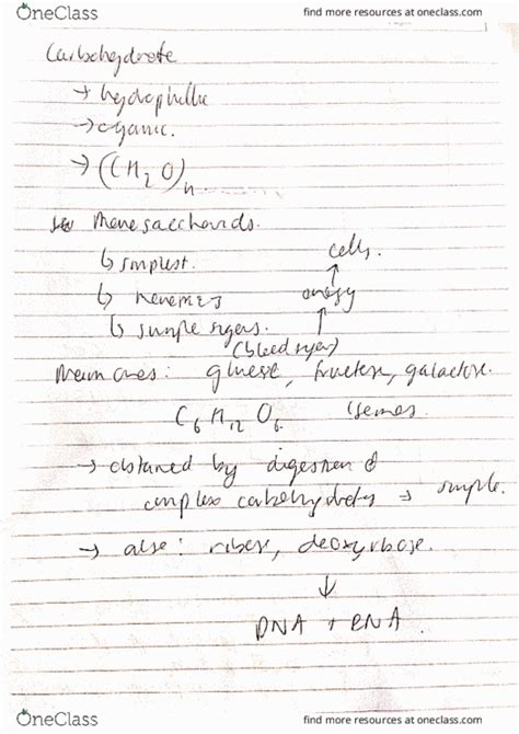 Bms129 Lecture Notes Fall 2018 Lecture 2 Enyne