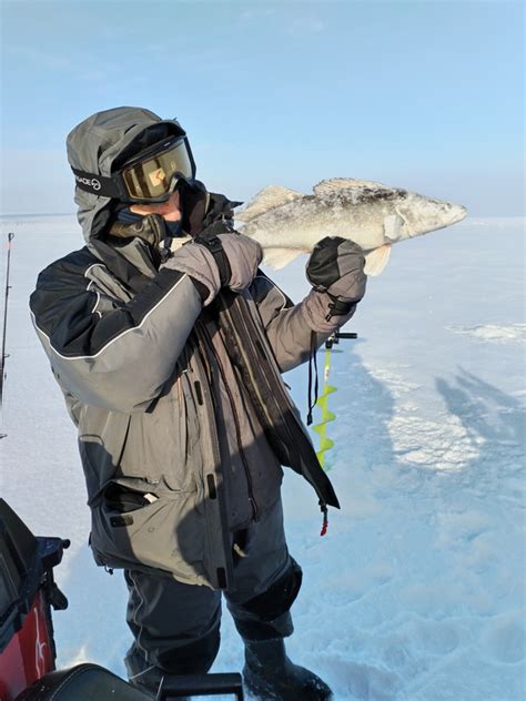 Img 20240221 101103 — Postimages