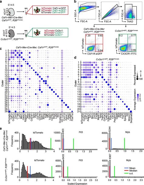 Single Cell Rna Sequencing Ngs Analysis