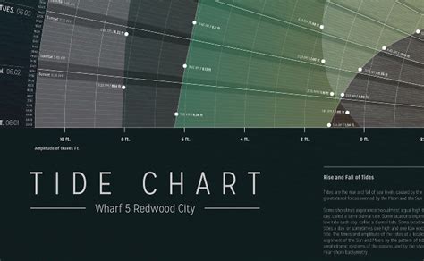 Tide Prediction Infographic Kelvinscaledesign