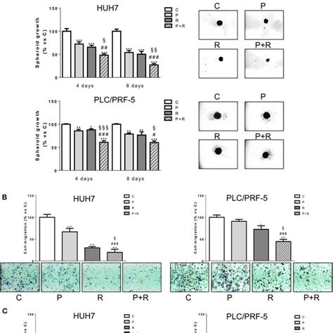 Palbociclib Combined With Regorafenib Inhibits 3d Cell Growth And Download Scientific Diagram