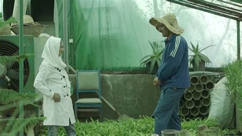 The Marriage Project 2020 Mubi