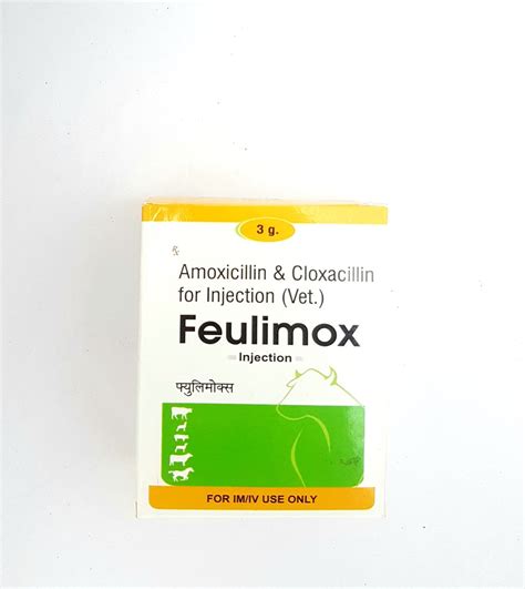 Ampicillin And Cloxacillin Veterinary Injection 3 G At ₹ 105 In Roorkee