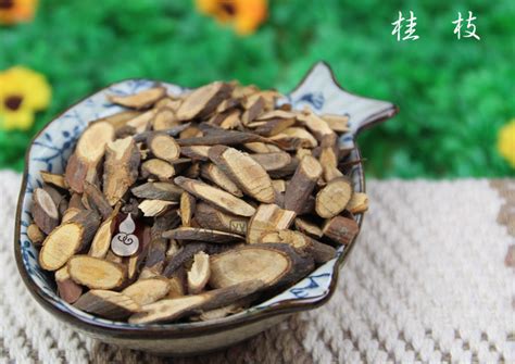 桂枝是什么样子的图片蝙蝠是什么样子的图片琥珀是什么样子的图片大山谷图库